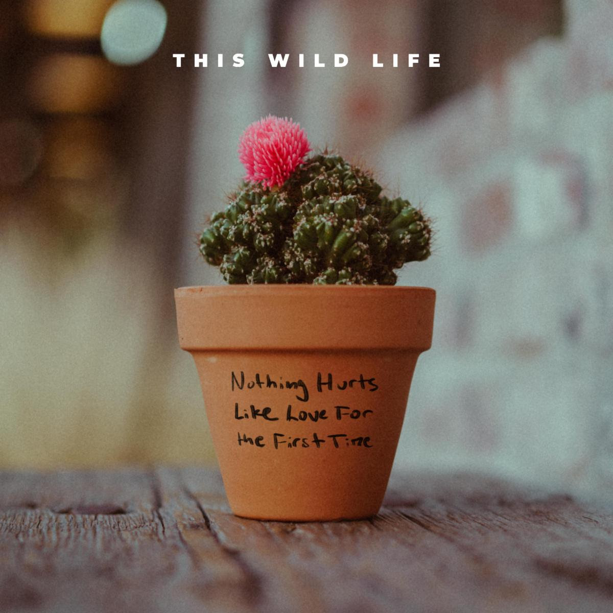 THIS WILD LIFE Sharing Achingly Beautiful “Nothing Hurts Like Love For ...